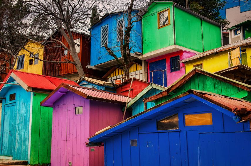 33 Images With A Splash of Color to Brighten Your Weekend
