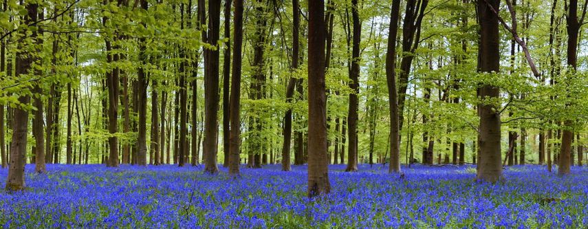 33 Of The Very Best Photos of "Spring" That You Will Ever See