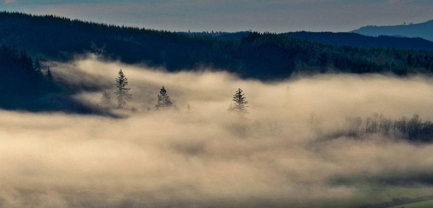 "I Must Go In - The Fog is Rising." 35 Fog Photos Ignite Your Imagination