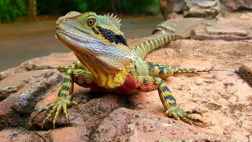 43 Cute Adorable Squishy Creatures