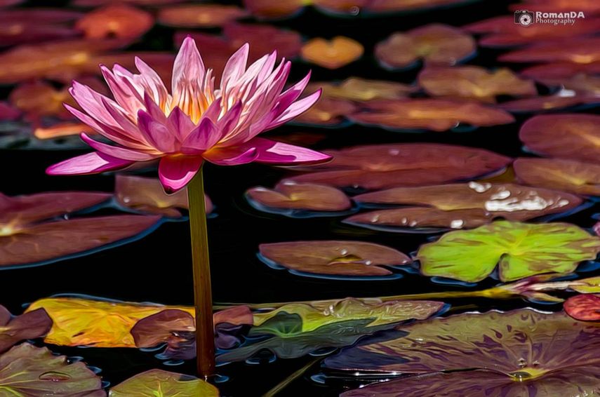 33 Of The Very Best Photos of "Spring" That You Will Ever See