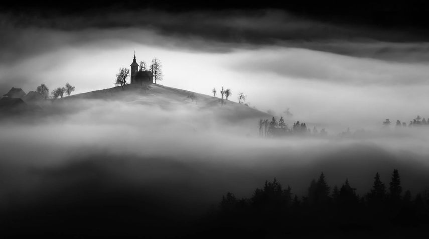 "I Must Go In - The Fog is Rising." 35 Fog Photos Ignite Your Imagination