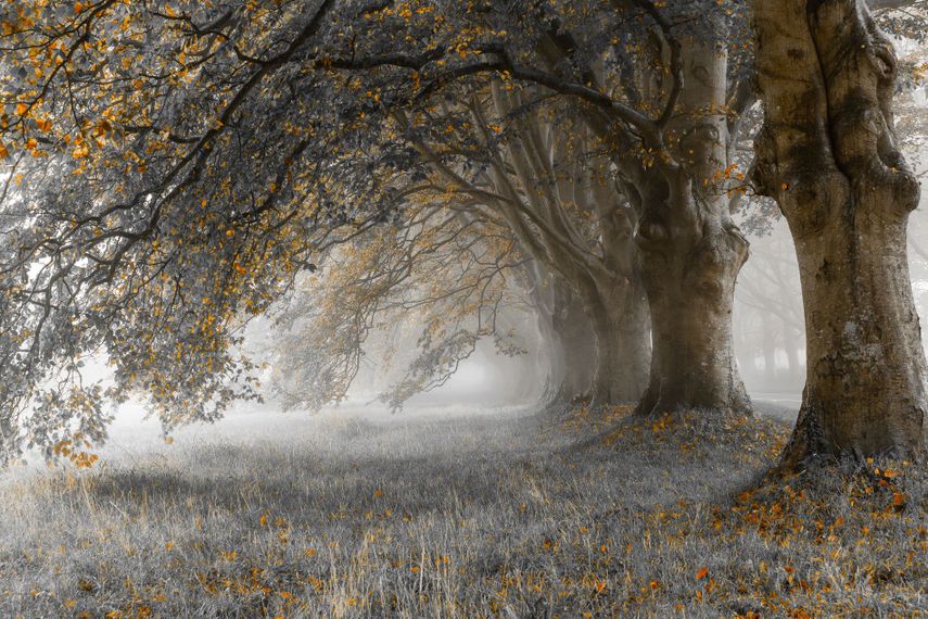 5 Tips for Shooting on Low ISO Like A Boss!