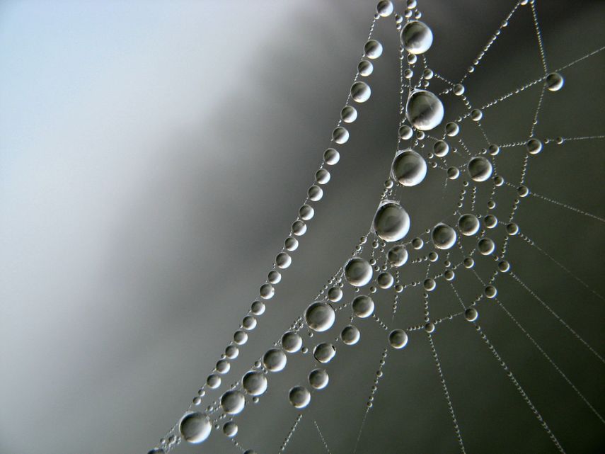 37 Eye-Popping Global Photos