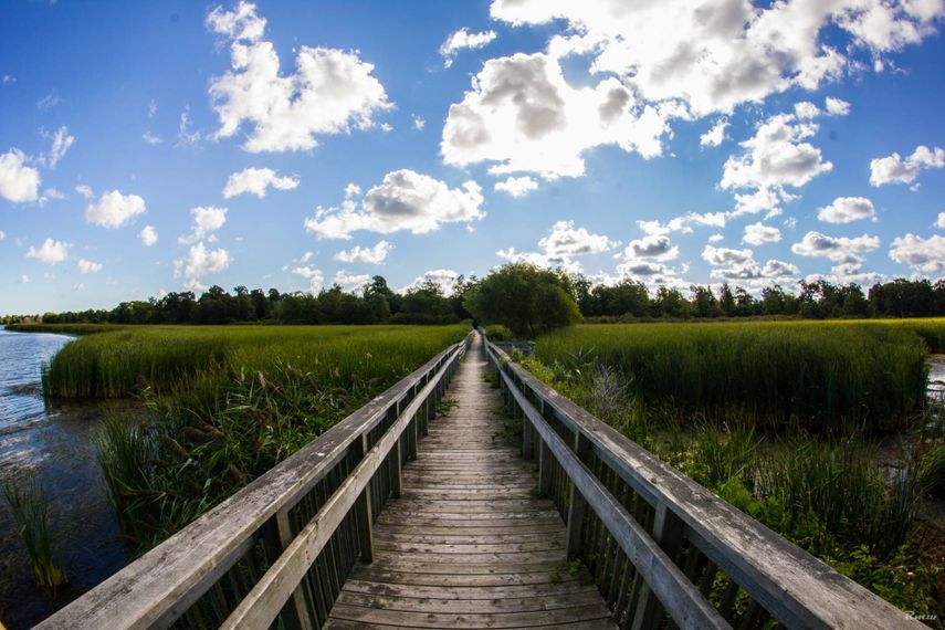 34 Superb Examples of Why a Vanishing Point works SOooo well in Photography