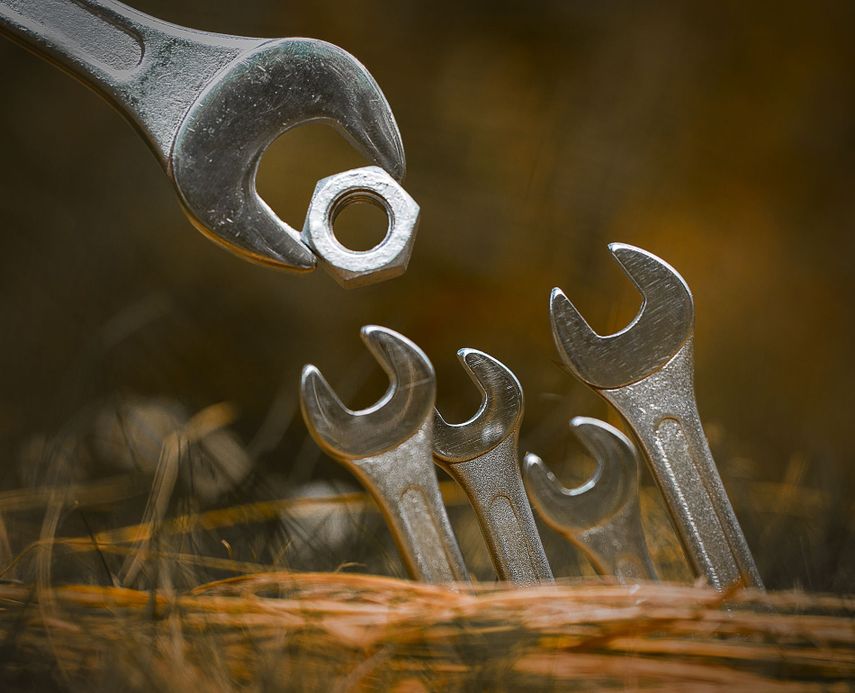 29 Images That Superbly Demonstrate the Beauty of Minimal Depth of Field