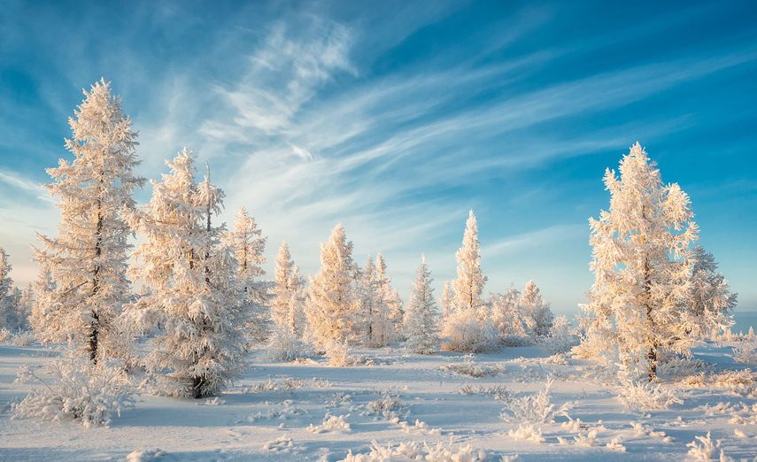 37 Eye-Popping Global Photos