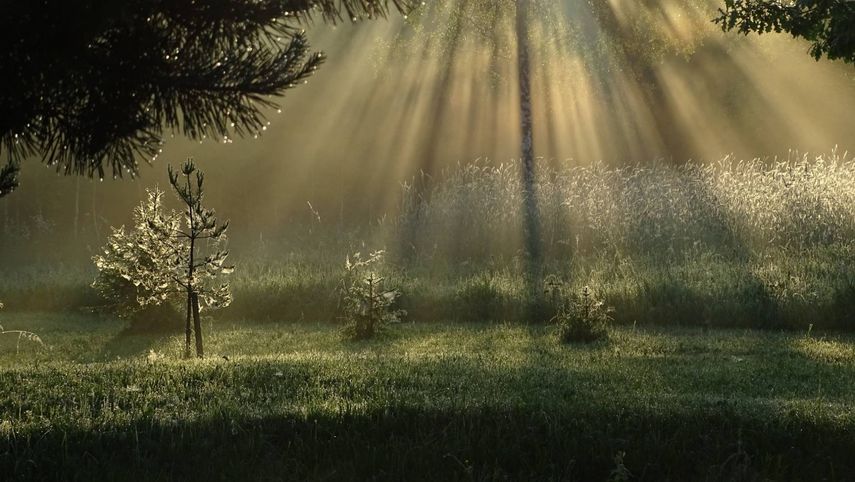 28 of the Very Best Examples of Photographers as Lighting Experts