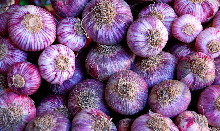 10+ Delightful Color Photographs (With Technical Details)