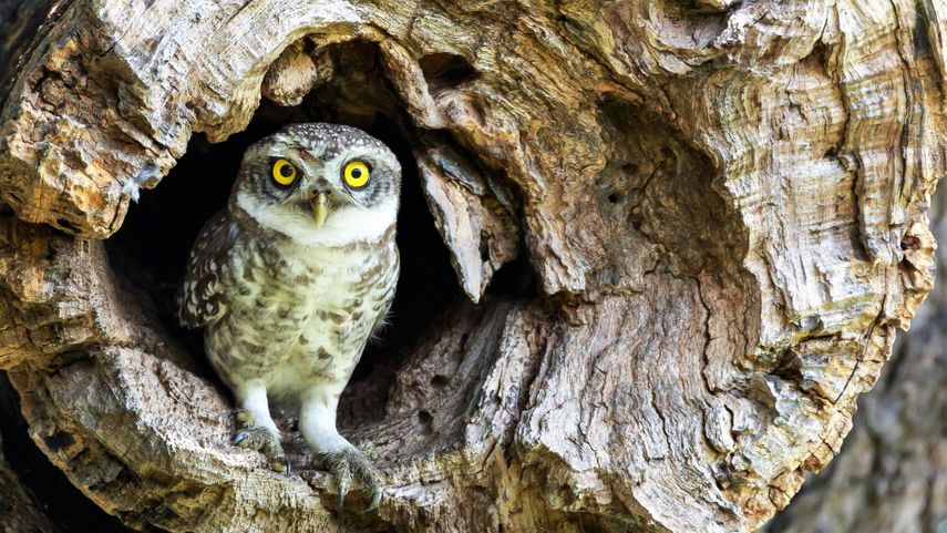 37 Eye-Popping Global Photos