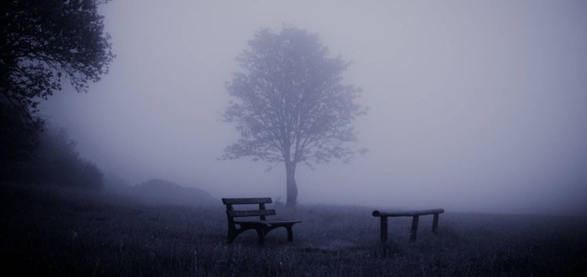 "I Must Go In - The Fog is Rising." 35 Fog Photos Ignite Your Imagination