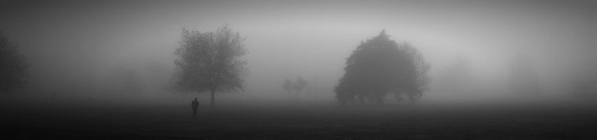 "I Must Go In - The Fog is Rising." 35 Fog Photos Ignite Your Imagination