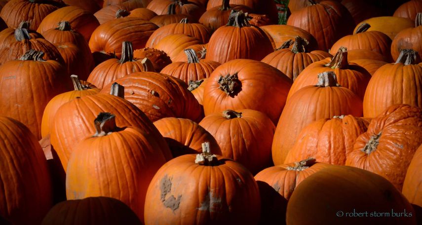 33 Photos That Show There Is Beauty In Overwhelming Numbers