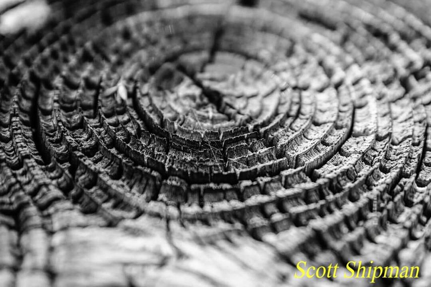 36 Beautiful Examples of Repetition & Patterns in Photography