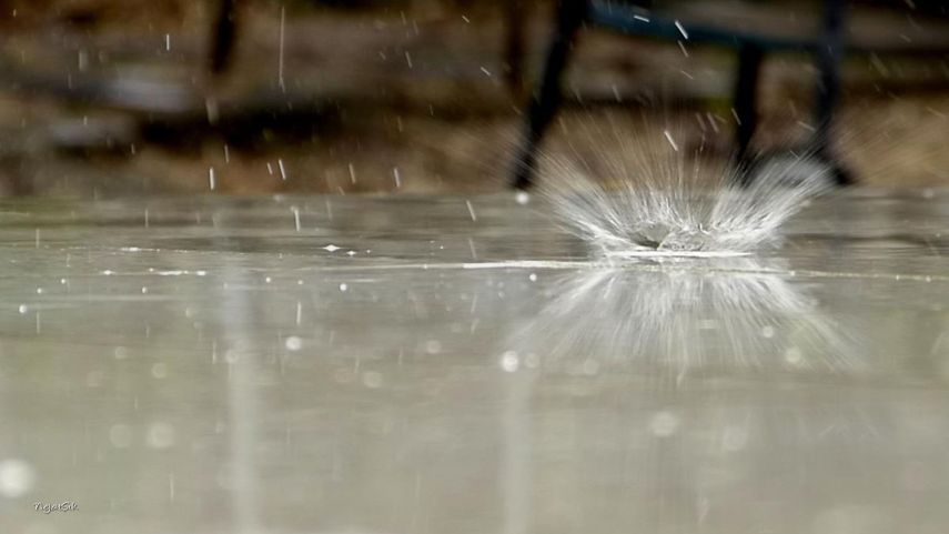38 Outstanding Examples of Wet & Rainy Photo Opportunities