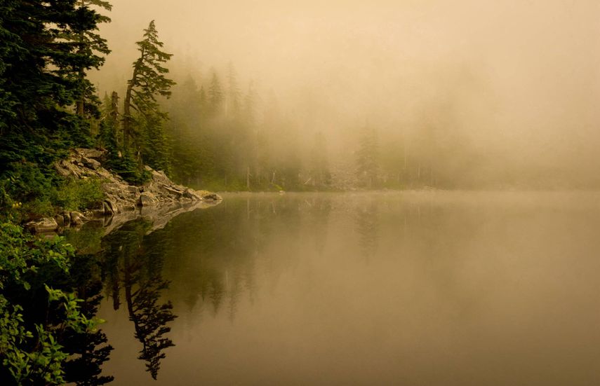 "I Must Go In - The Fog is Rising." 35 Fog Photos Ignite Your Imagination