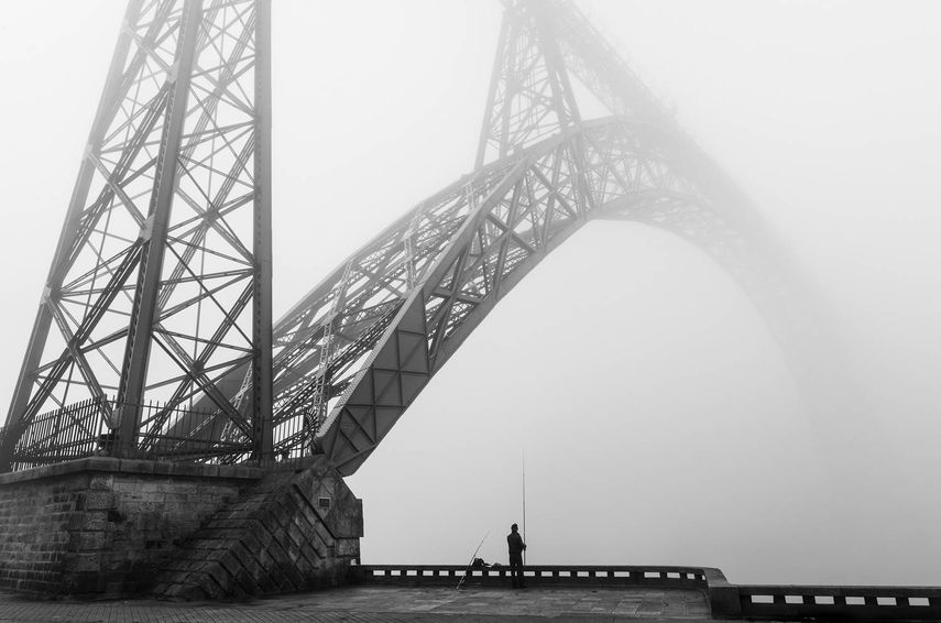 "I Must Go In - The Fog is Rising." 35 Fog Photos Ignite Your Imagination