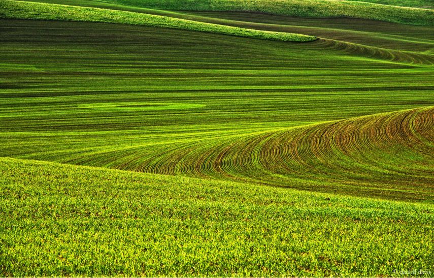 30 Alluring Patterns that Titillate, Fascinate, and Irritate