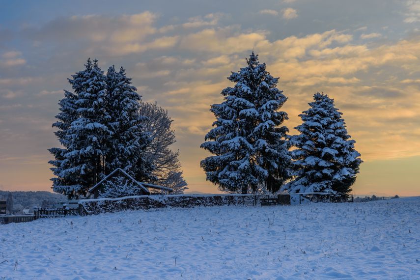 5 Tips for Shooting on Low ISO Like A Boss!