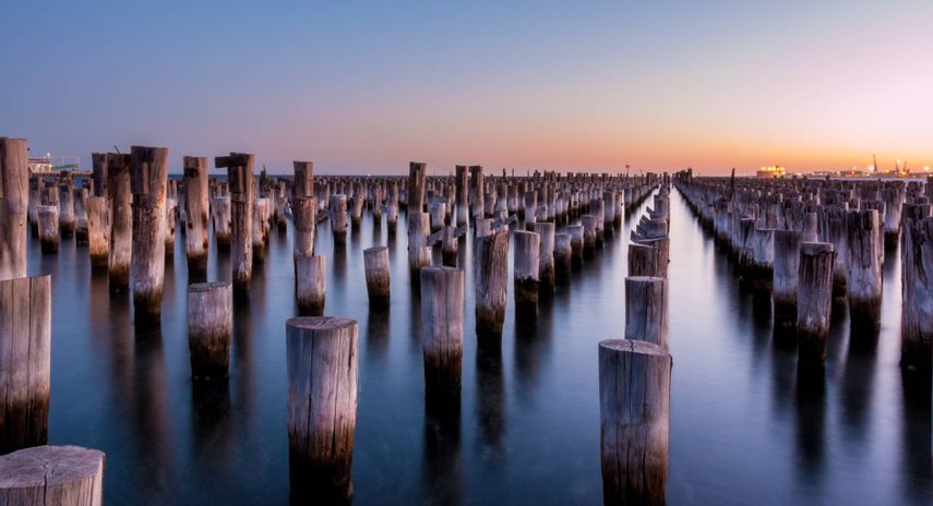 33 Photos That Show There Is Beauty In Overwhelming Numbers