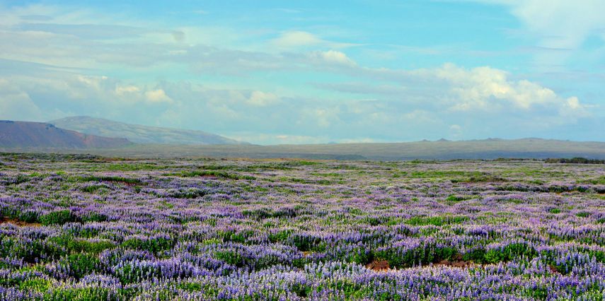 33 Of The Very Best Photos of "Spring" That You Will Ever See