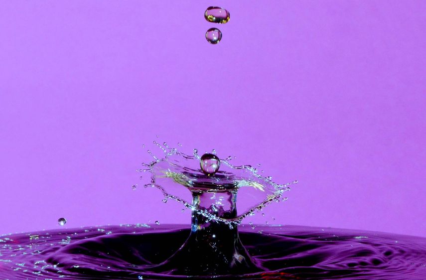 15 Photographs that Tell us Why Purple is the Color of Kings & Queens